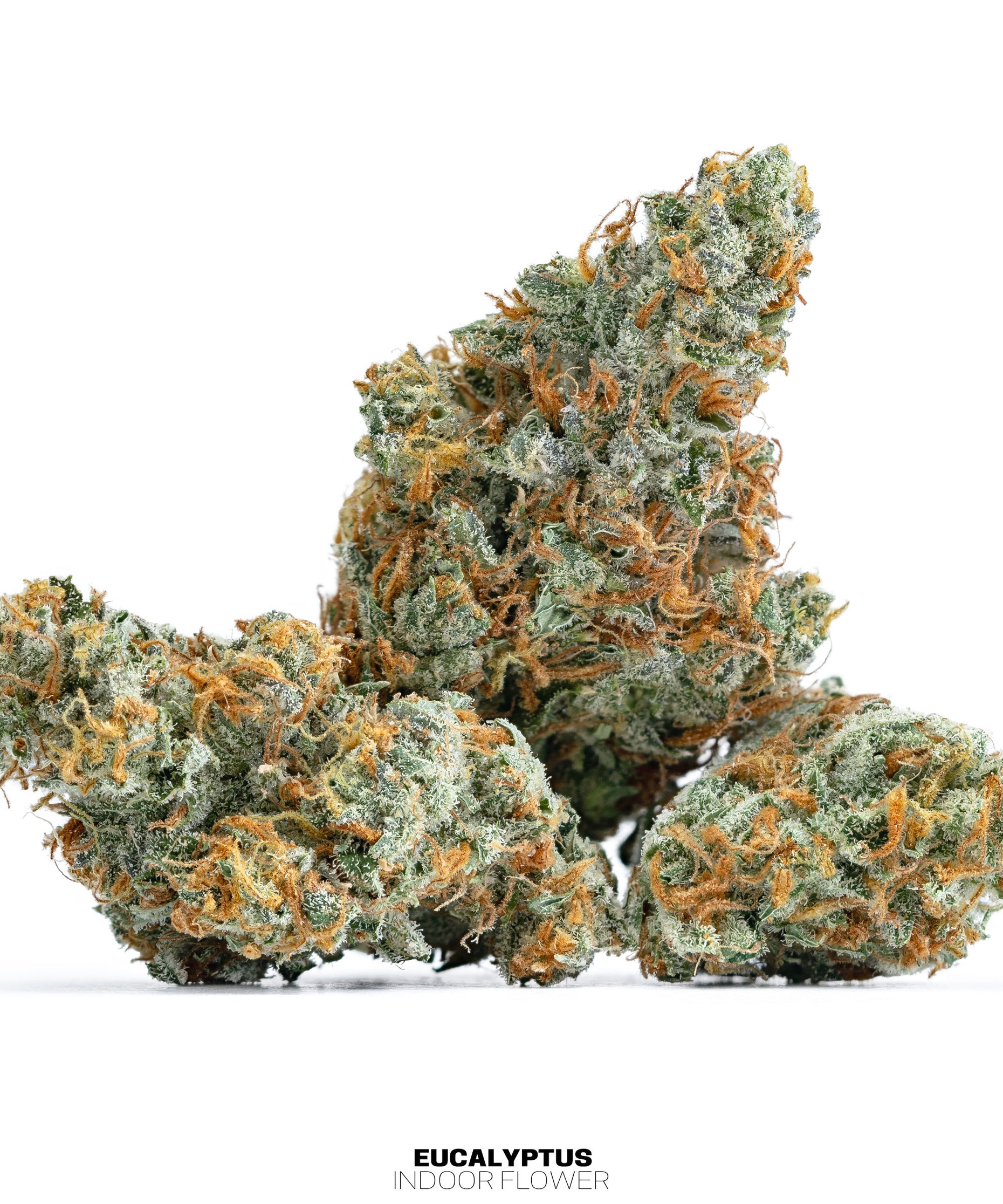 Indoor Hemp Flowers (THCa) | Wildflower Hemp Co | High THCA Indoor Flower