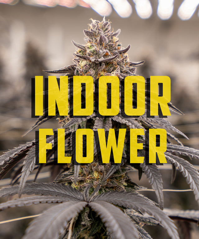 THCa Flower | Wildflower Hemp Co | High THC a & Delta 9 – WFHC Holdings LLC